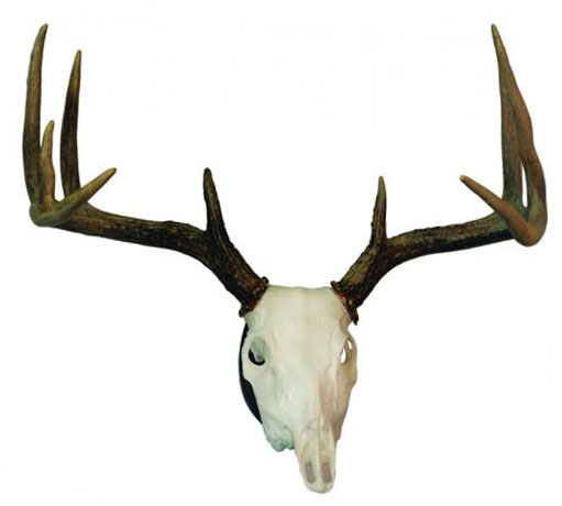 Camo Deer Skull Mount